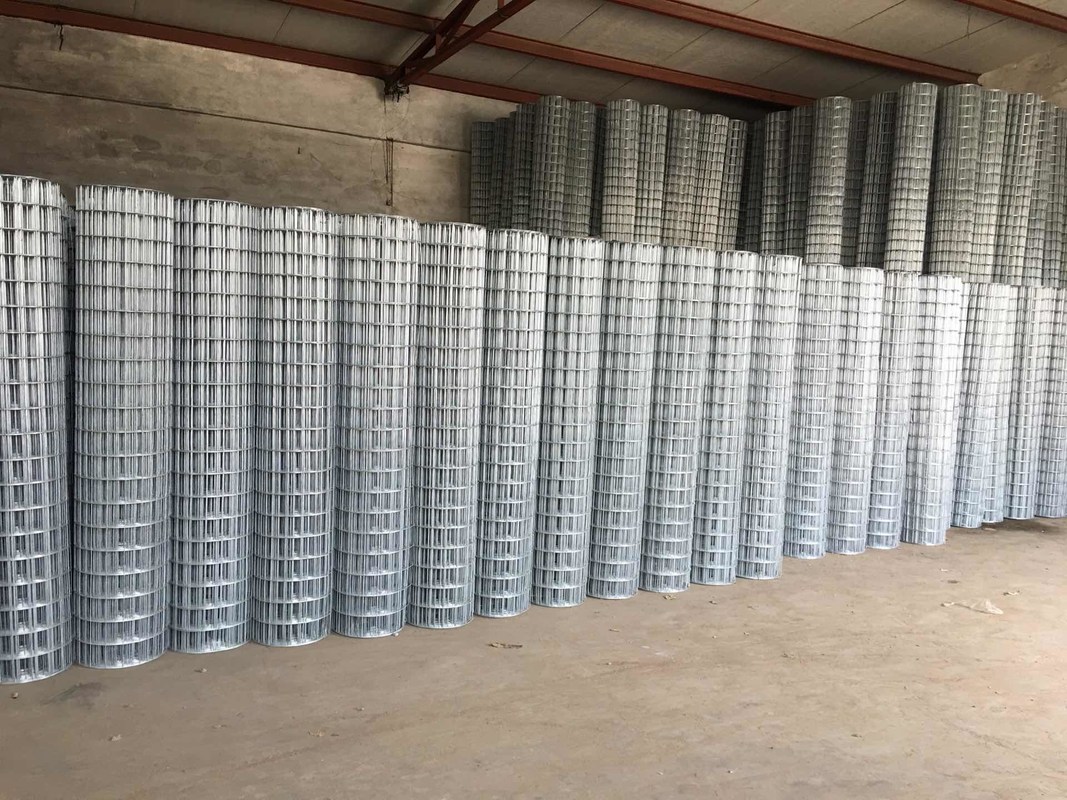 Galvanized Welded Wire Mesh,Opening 1"-4",Diameter 1.5mm-3.0mm,In Rolls ...