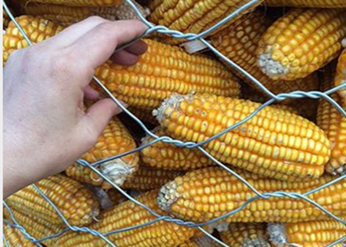 6x8cm 2.8mm Galvanized Gabion Hexagonal Wire Mesh For Corn And Garden